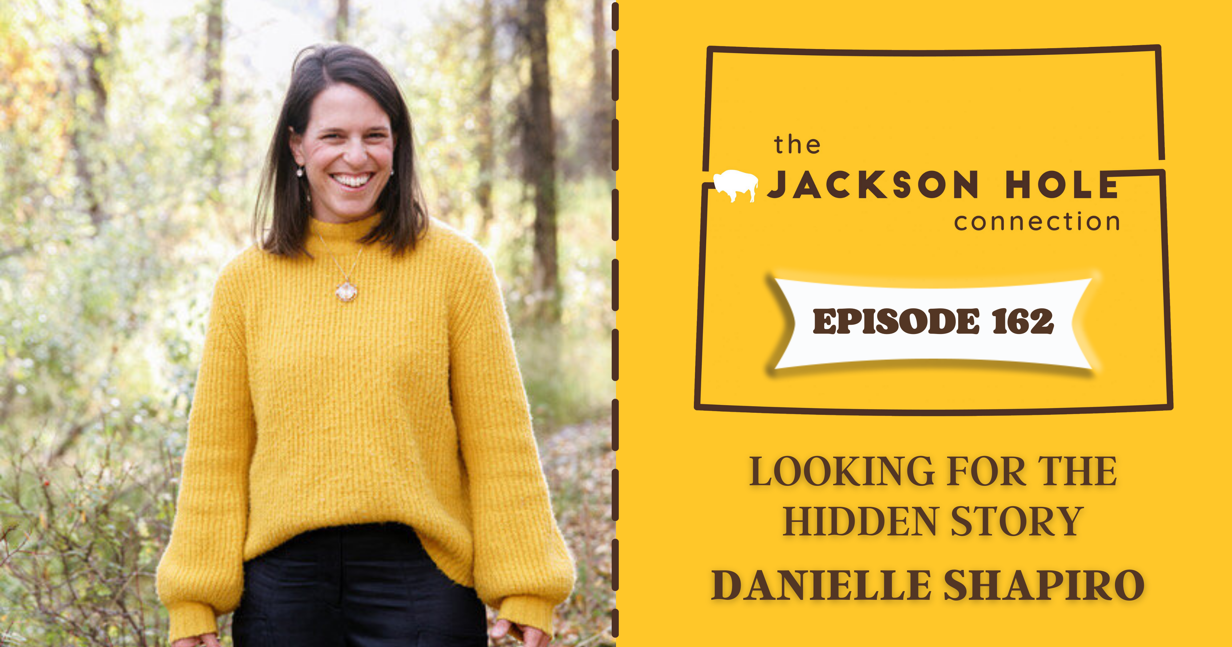 Episode 162 – Looking For The Hidden Story with Danielle Shapiro - The ...